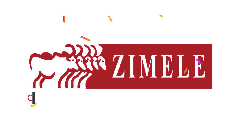 Zimele Asset Management - Actualizing Dreams Since 1998
